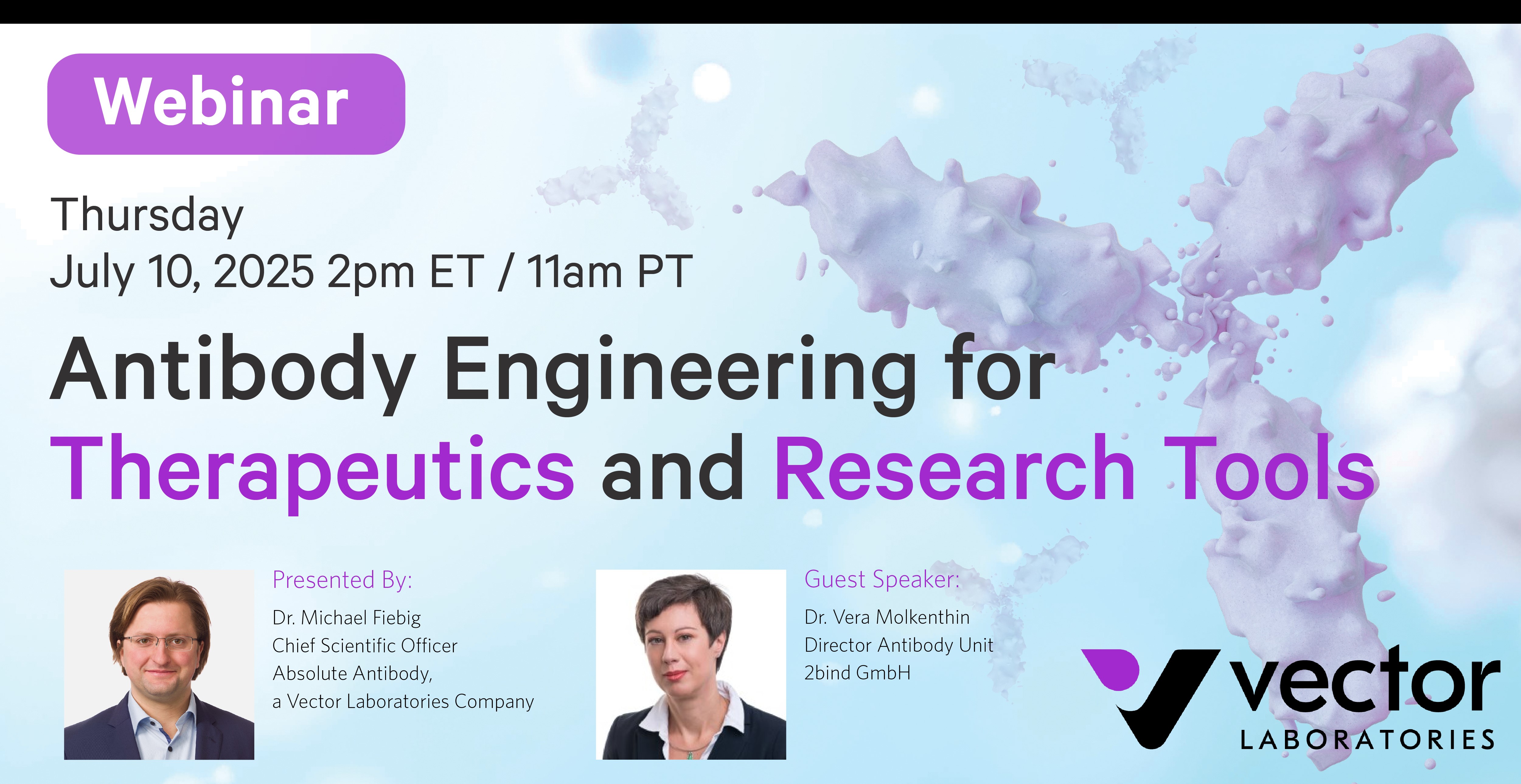 Antibody Engineering for Therapeutics and Research Tools