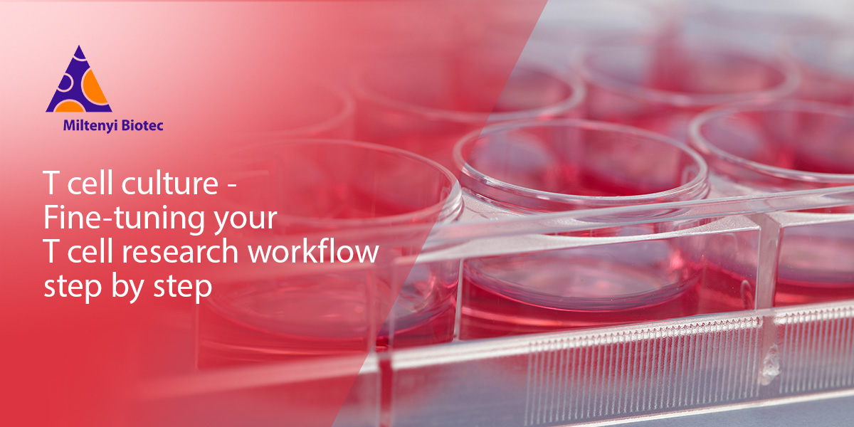 T cell culture - Fine-tuning your T cell research workflow step by step