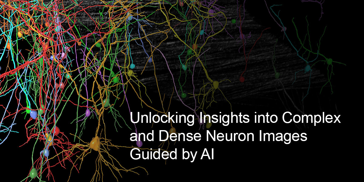 Unlocking Insights into Complex and Dense Neuron Images Guided by AI