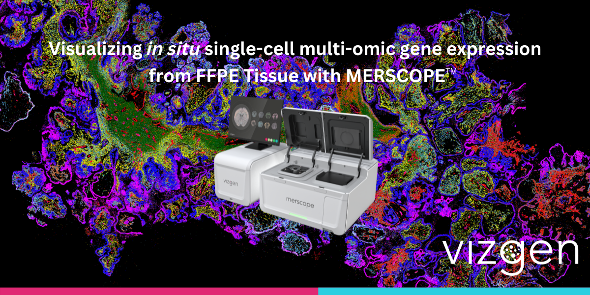 Visualizing in situ single-cell multi-omic gene expression from FFPE ...