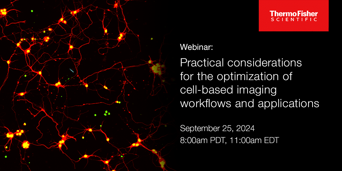 Practical considerations for the optimization of cell-based imaging ...