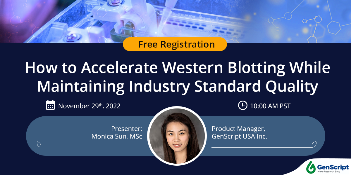 How to Accelerate Western Blotting While Maintaining Industry Standard ...