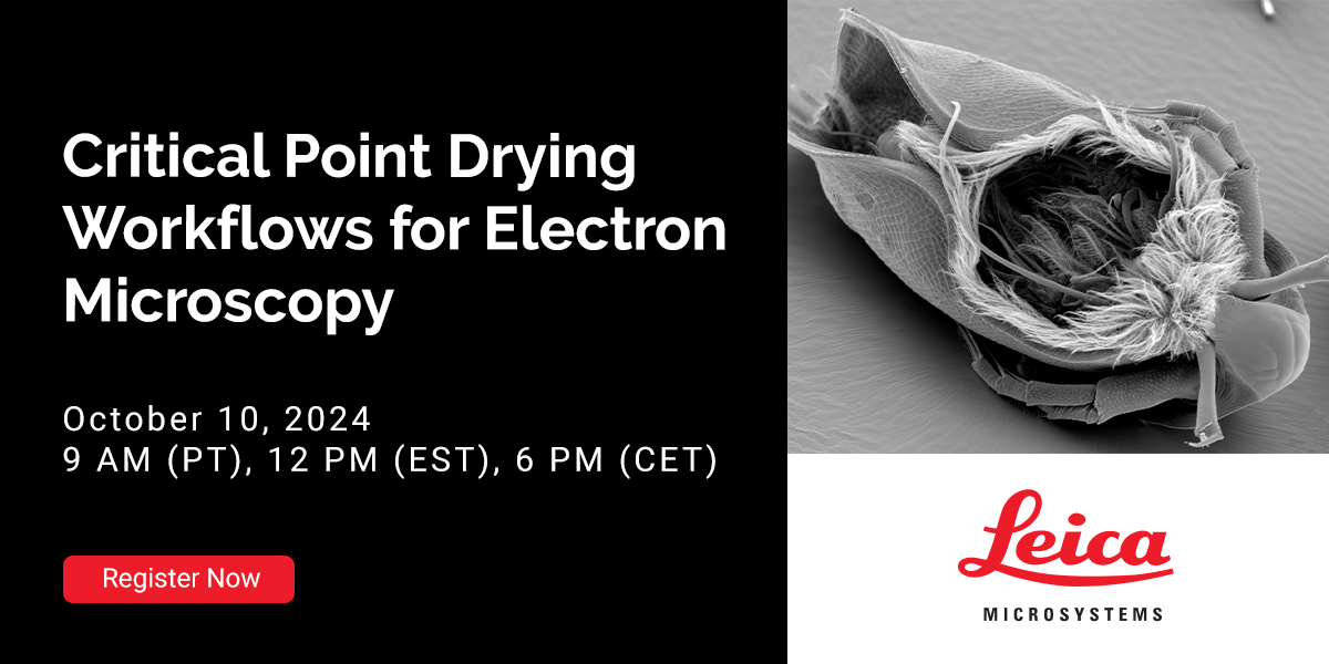 Critical Point Drying Workflows for Electron Microscopy