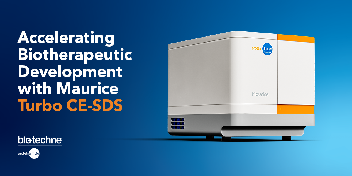 Accelerating Biotherapeutic Development with Maurice Turbo CE-SDS