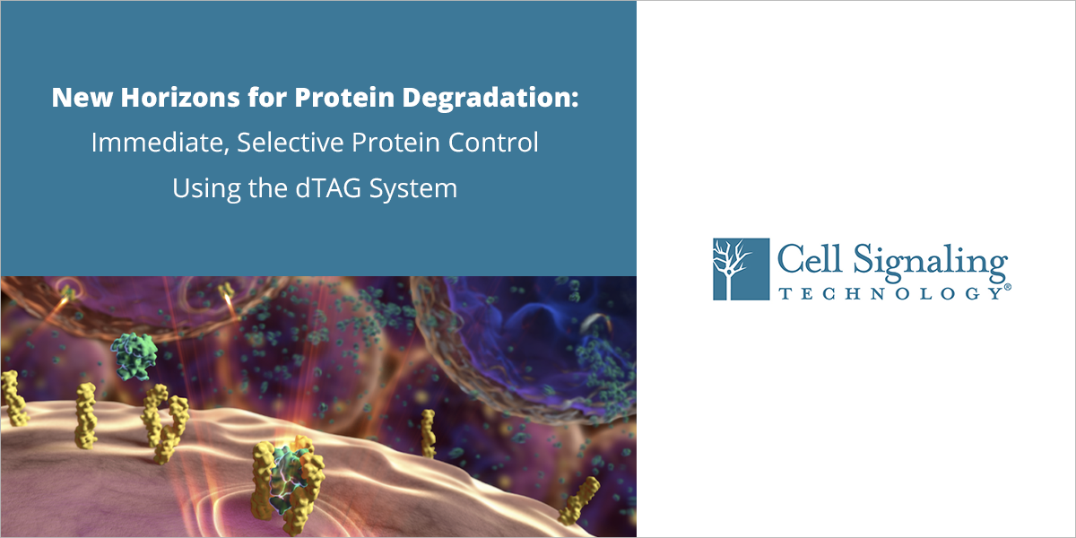 New Horizons for Protein Degradation: Immediate, Selective Protein ...