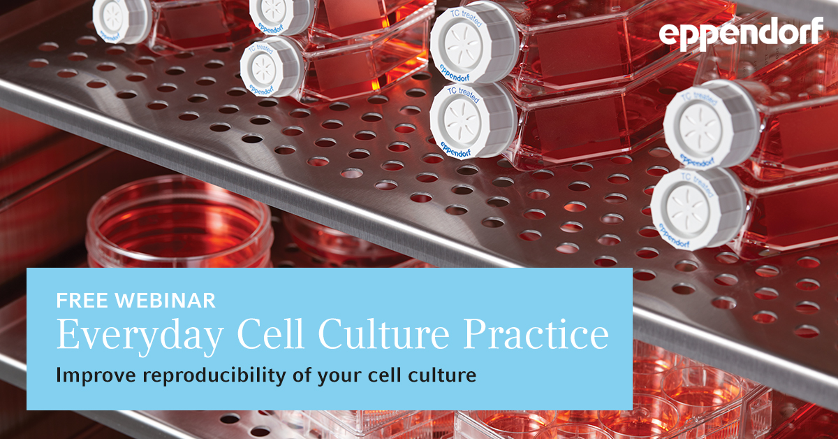 Everyday Cell Culture Practice - Improve reproducibility of your cell ...