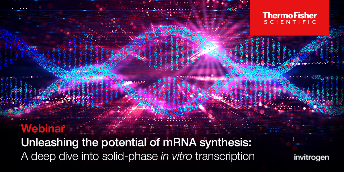 Unleashing the Potential of mRNA Synthesis: A Deep Dive into Solid ...