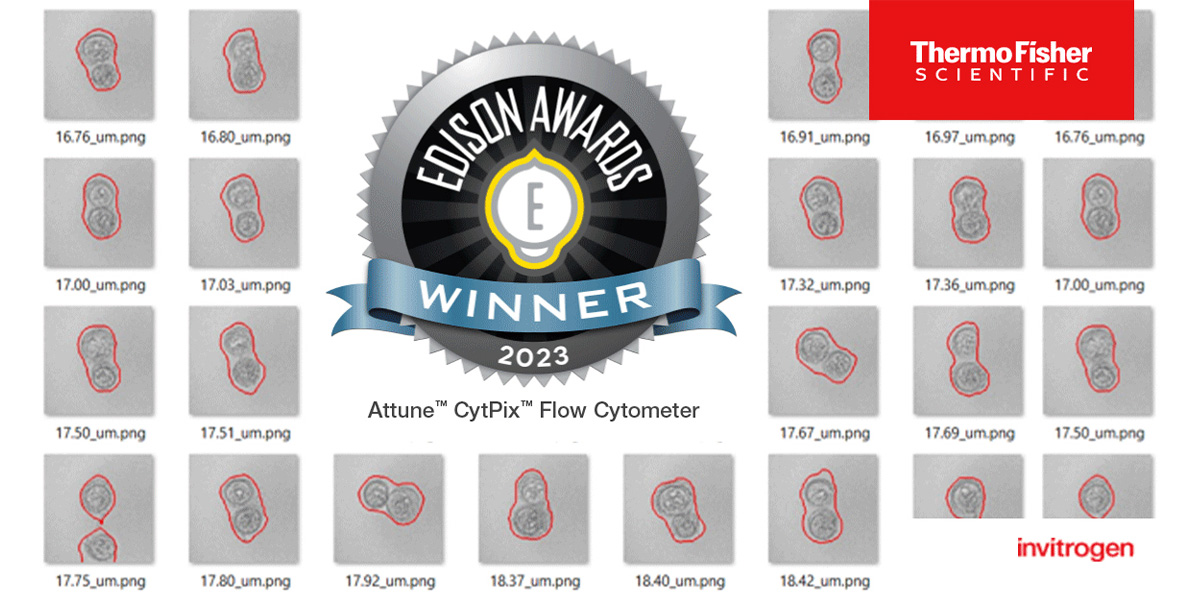 Flow Cytometry As You Have Never Seen It Before