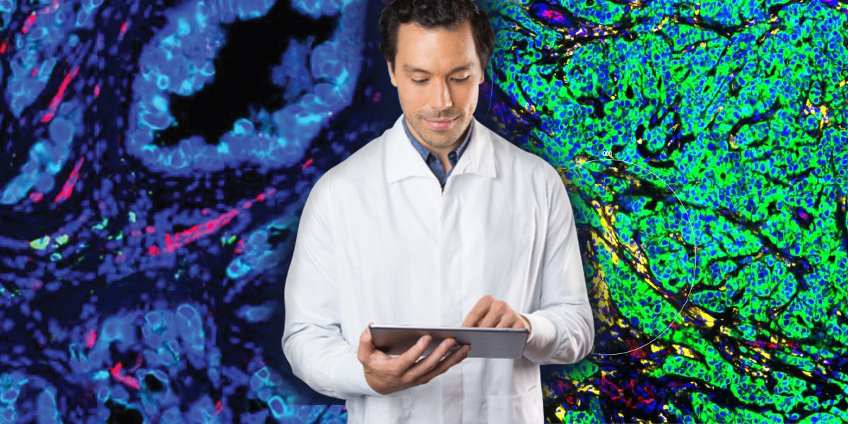 Fully Automated Workflows for High Plex Multi-omic Profiling with GeoMx ...