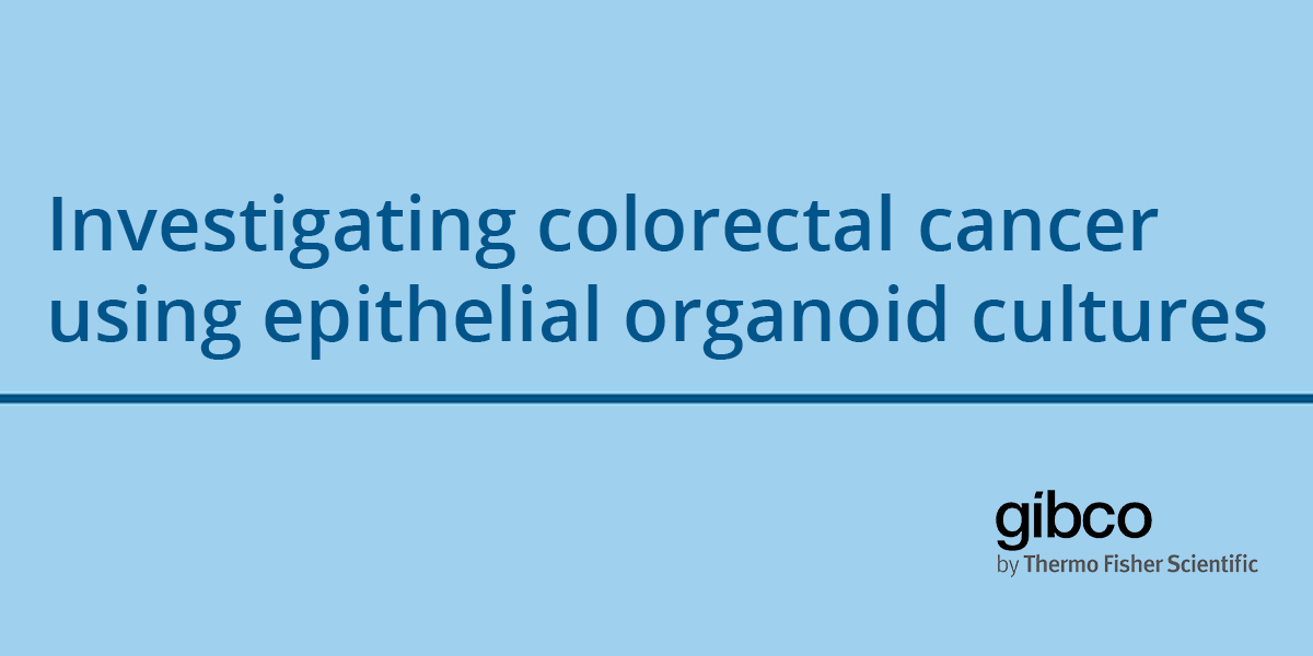 WEBINAR: Investigating colorectal cancer using epithelial organoid cultures