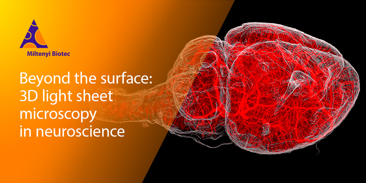 Beyond the surface of neuroscience: 3D imaging of large biological ...