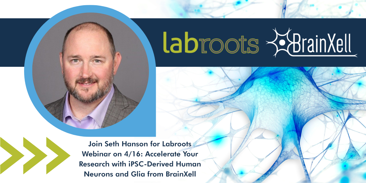 Accelerate Your Research with iPSC-Derived Human Neurons and Glia from BrainXell