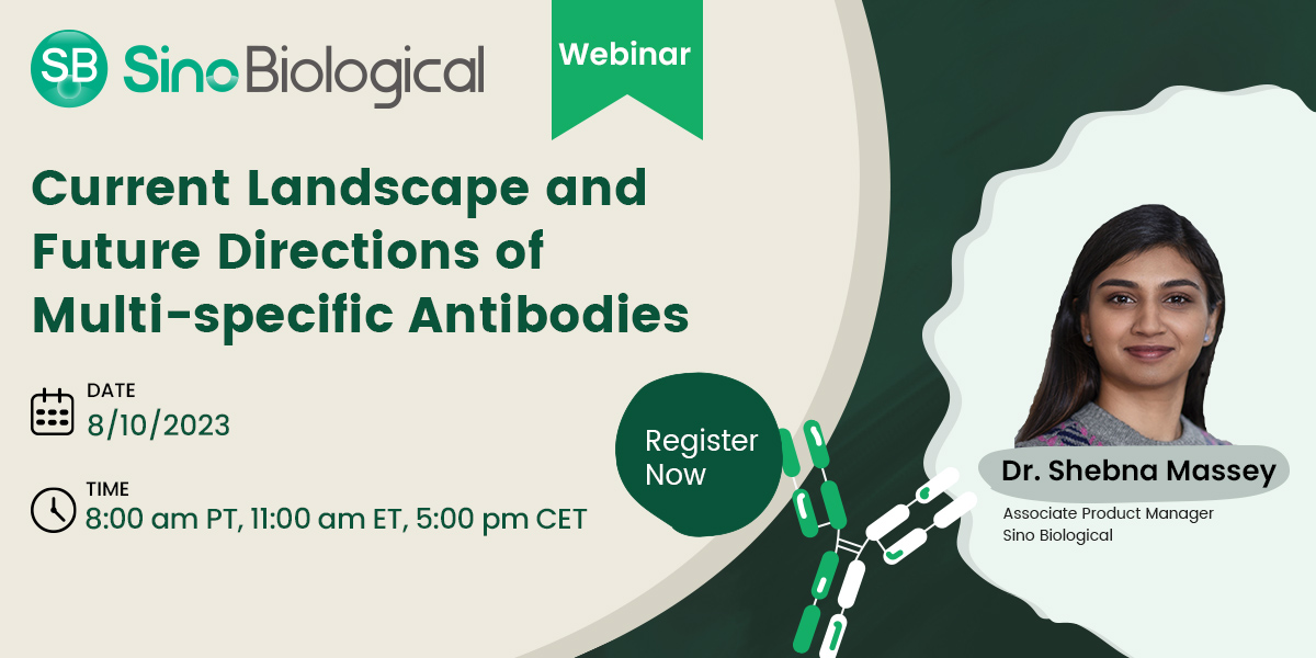 Current Landscape and Future Directions of Multi-specific Antibodies