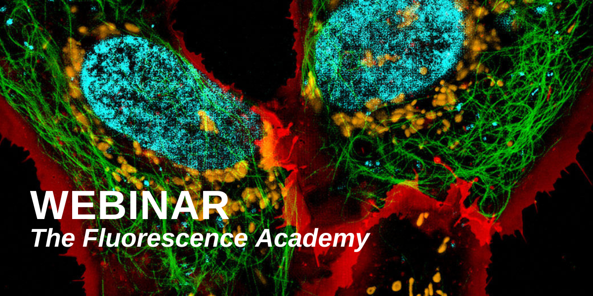 Practical considerations for fluorescent cell staining and microscopy ...