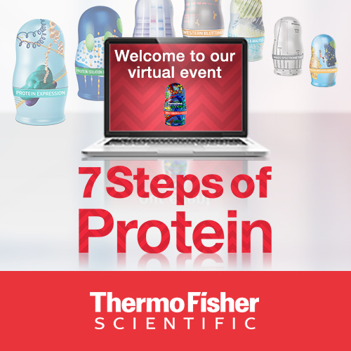 Improve your protein research knowledge by joining our 7 Steps of ...