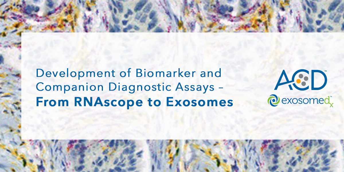 Companion Diagnostic and Biomarker Assay Development for Interrogation ...