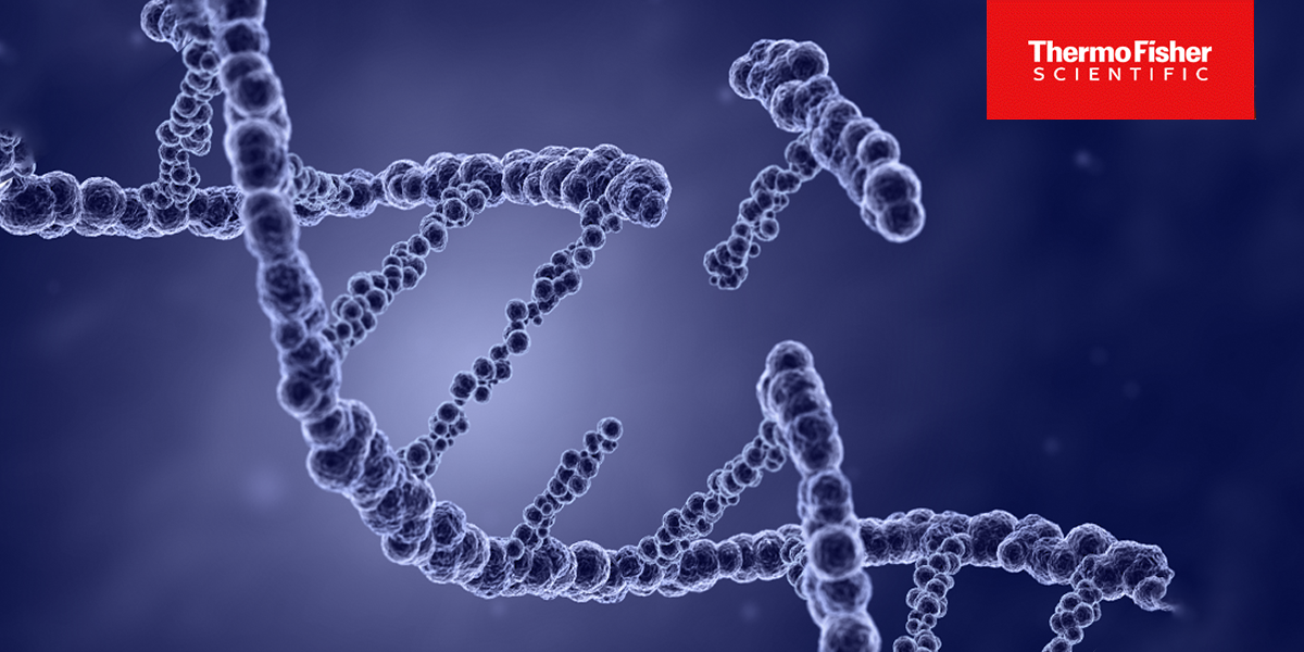 Exploring the Possibilities of Loop-mediated Isothermal Amplification