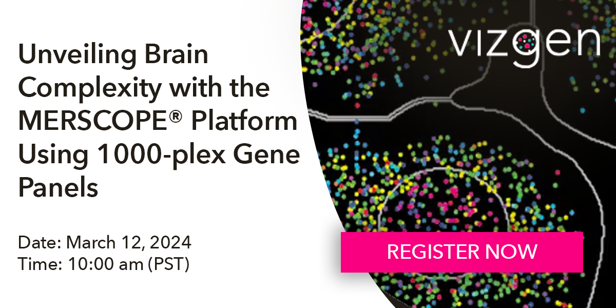 Unveiling Brain Complexity with the MERSCOPE® Platform Using 1000-plex Gene Panels