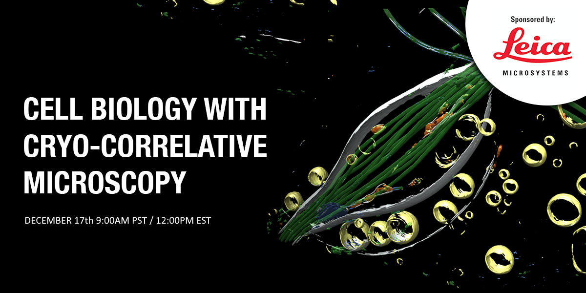 Advancing Cell Biology with Cryo-Correlative Microscopy