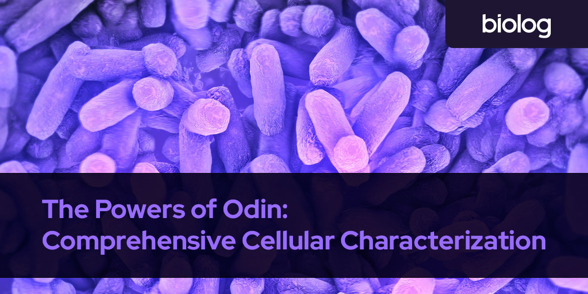 The Powers of Odin: Comprehensive Cellular Characterization