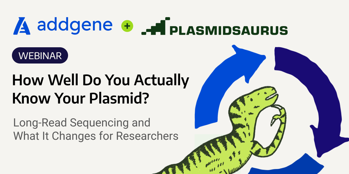 How Well Do You Actually Know Your Plasmid? Long-Read Sequencing and ...