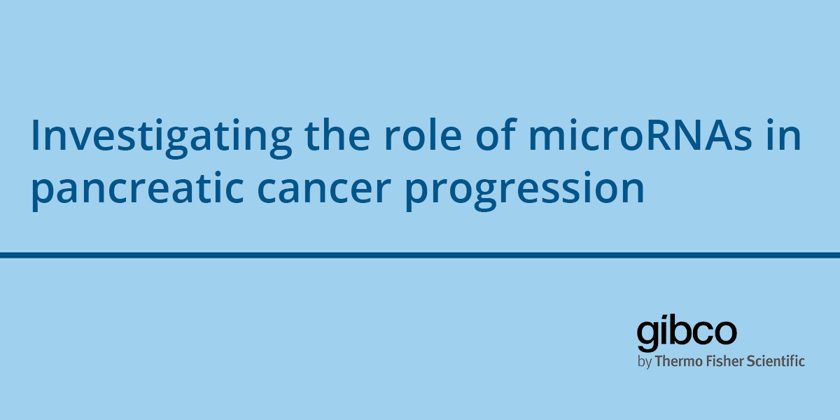 Investigating the role of microRNAs in pancreatic cancer progression.