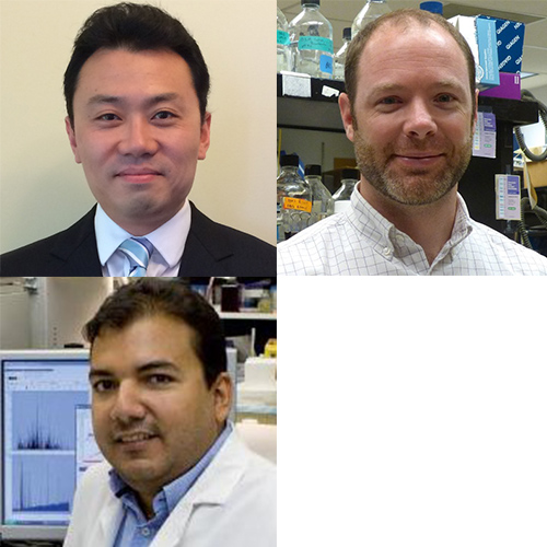 The Hidden Effects of Epigenetic Discoveries