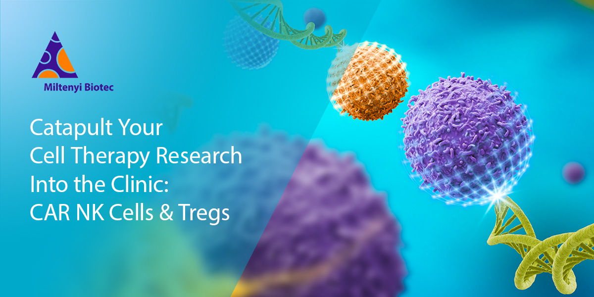 Catapult Your Cell Therapy Research Into the Clinic: CAR NK Cells & Tregs
