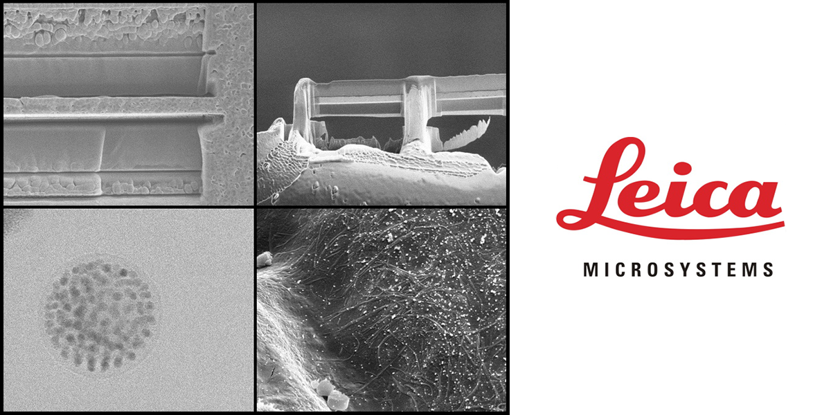 Cryogenic Electron Microscopy of Beam and Air-Sensitive Materials