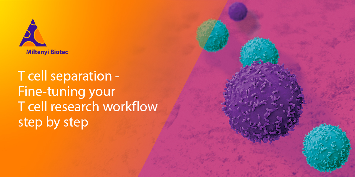 T cell separation: Fine-tuning your T cell research workflow step by step