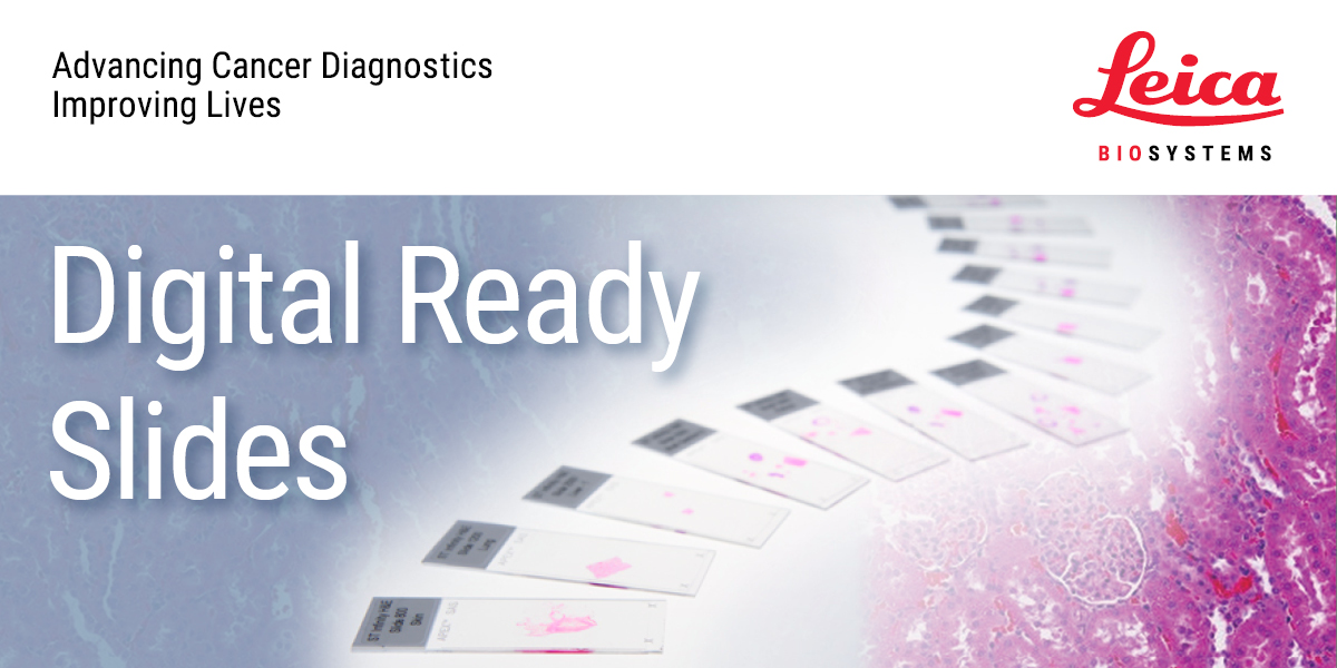Digital Ready Slides